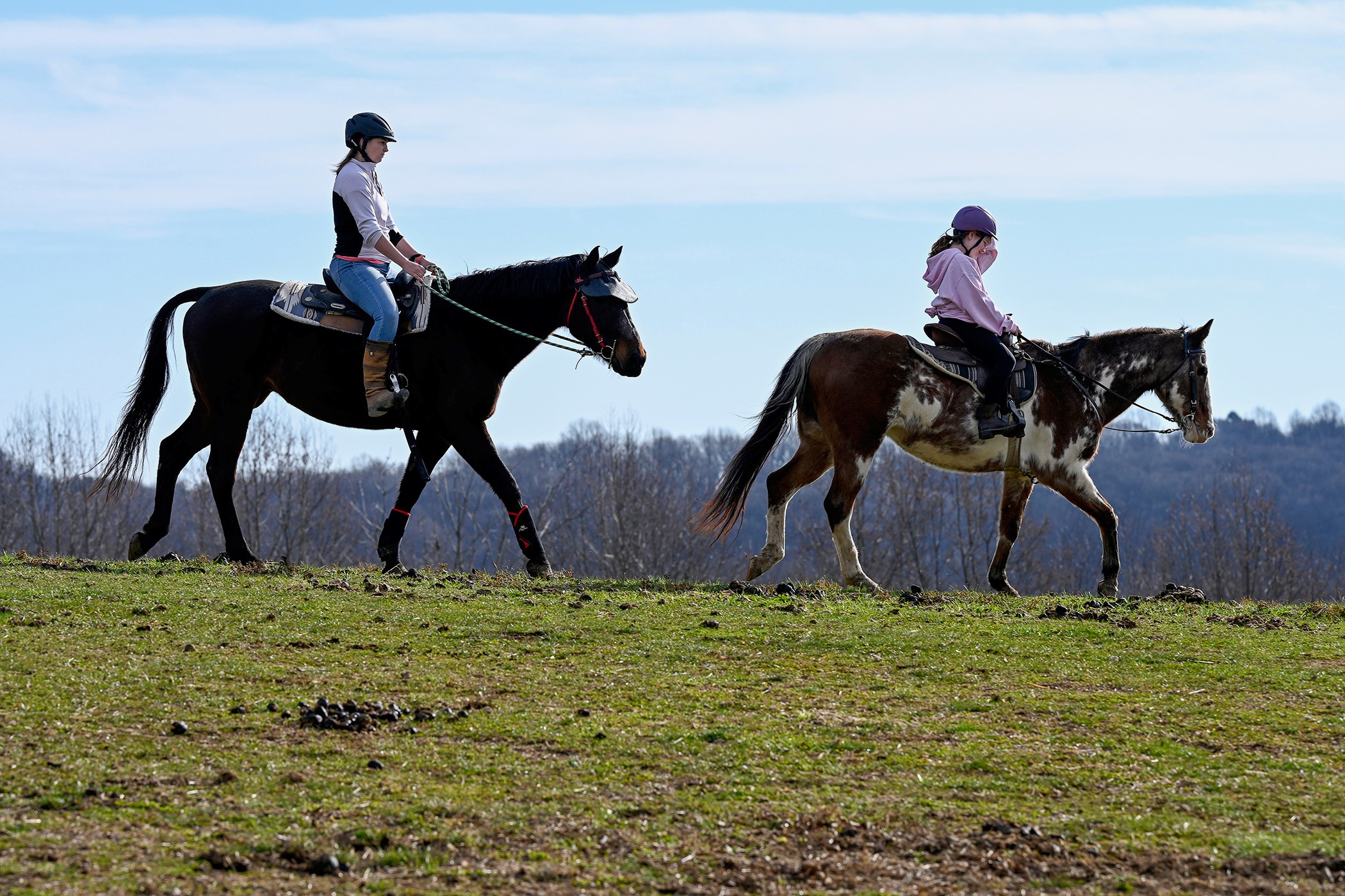 Day 9 – High Ridge Farm