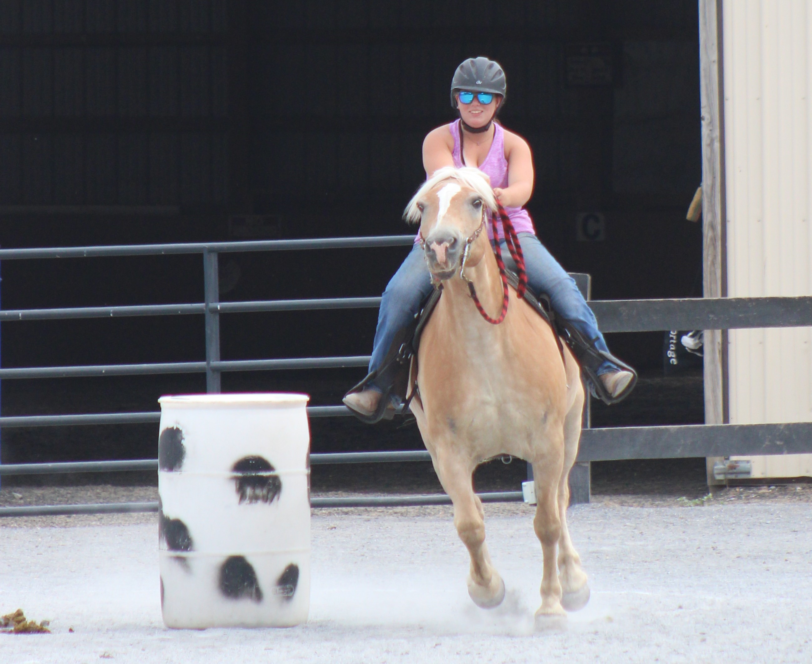 Lessons – High Ridge Farm