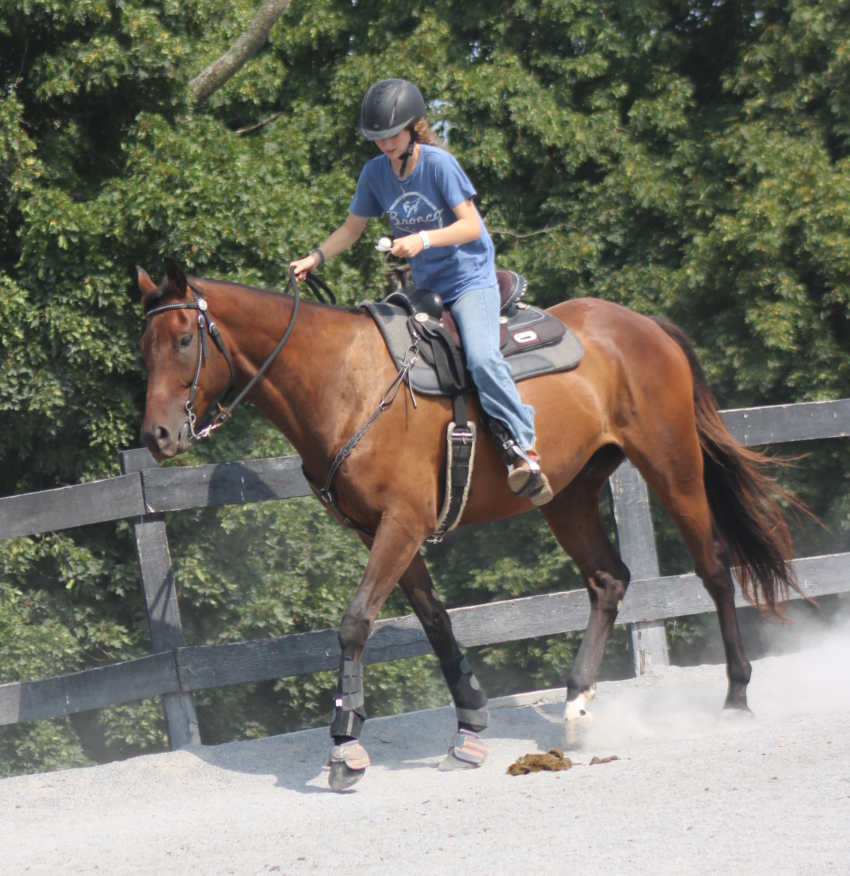 Lessons – High Ridge Farm