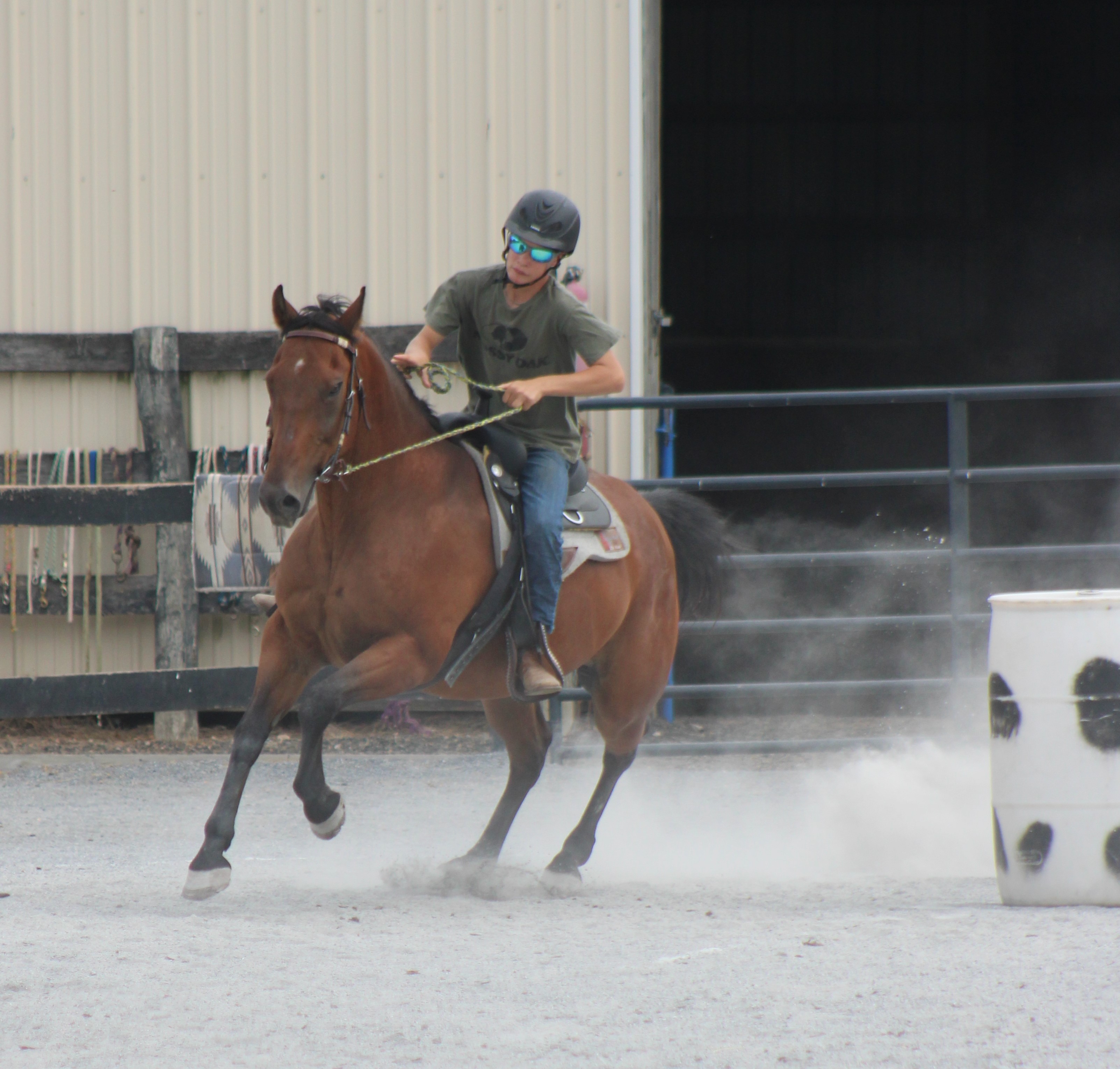 High Ridge Farm • Fun Shows – High Ridge Farm