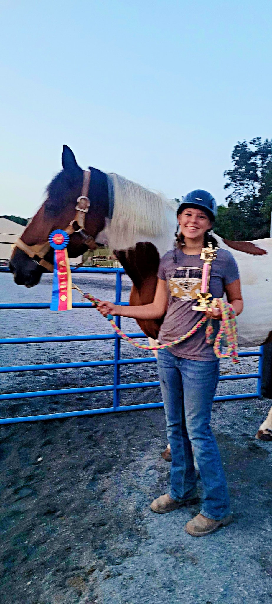 Lessons – High Ridge Farm