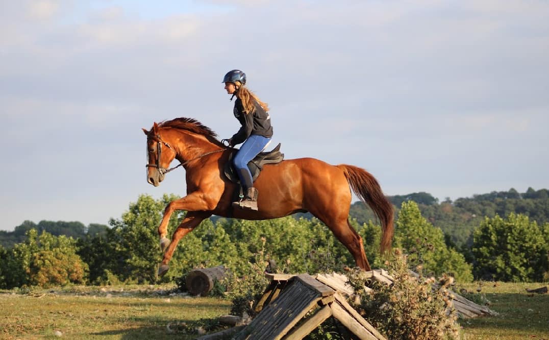 High Ridge Farm – Manchester, Maryland