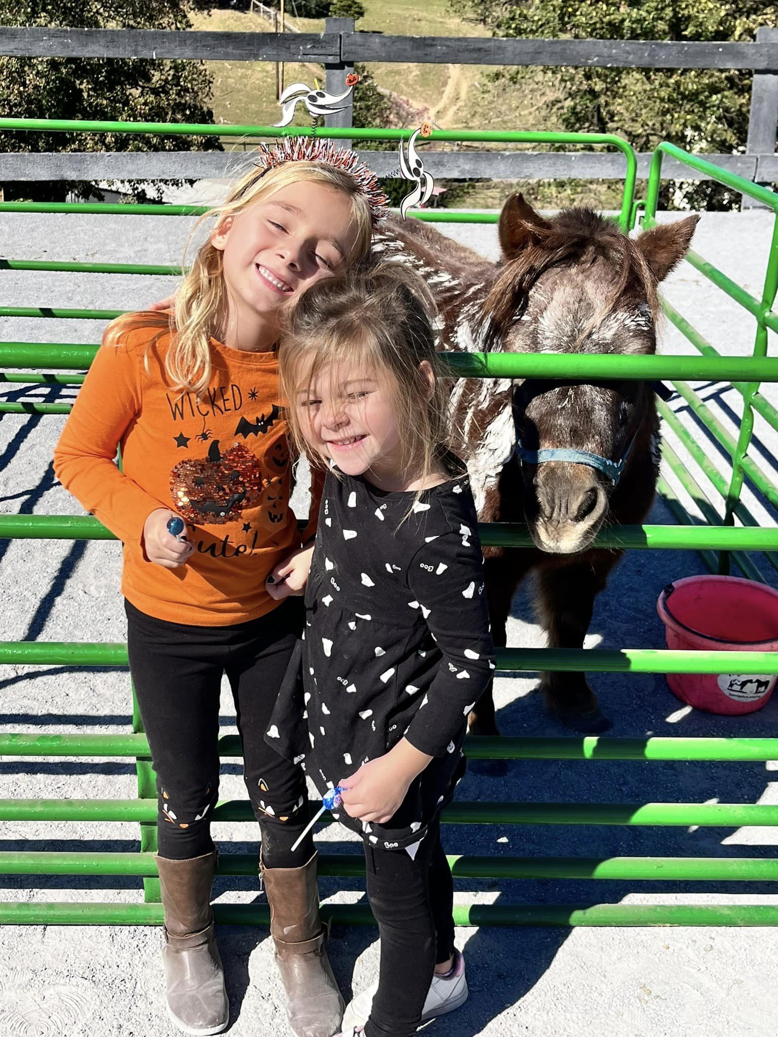 High Ridge Farm – Manchester, Maryland