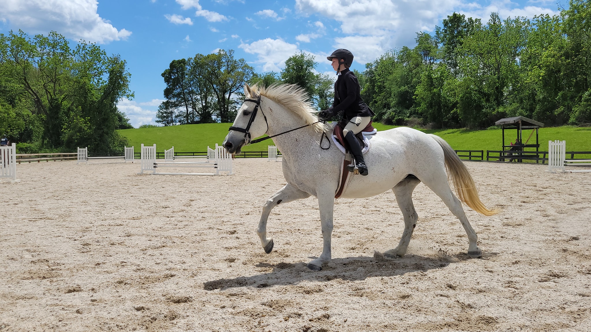 High Ridge Farm – Manchester, Maryland